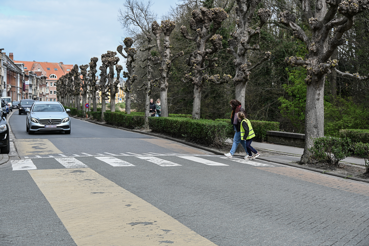 Moet je stoppen aan een zebrapad?